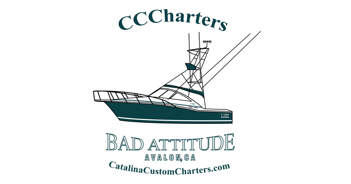 The Right Boat for Your Big Day — Catalina Custom Charters